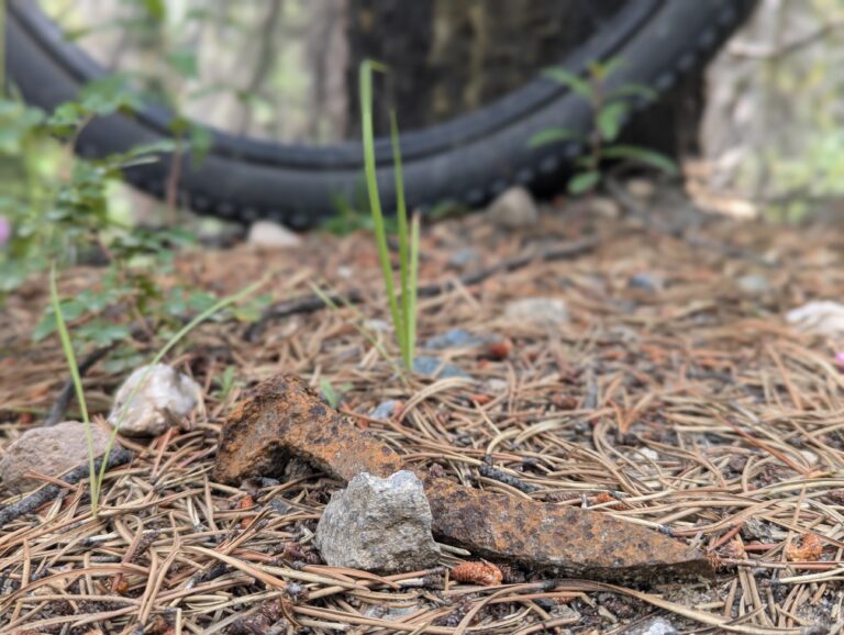 Two Local Riders Set Out on the 2025 Tour Divide – Your Group Ride